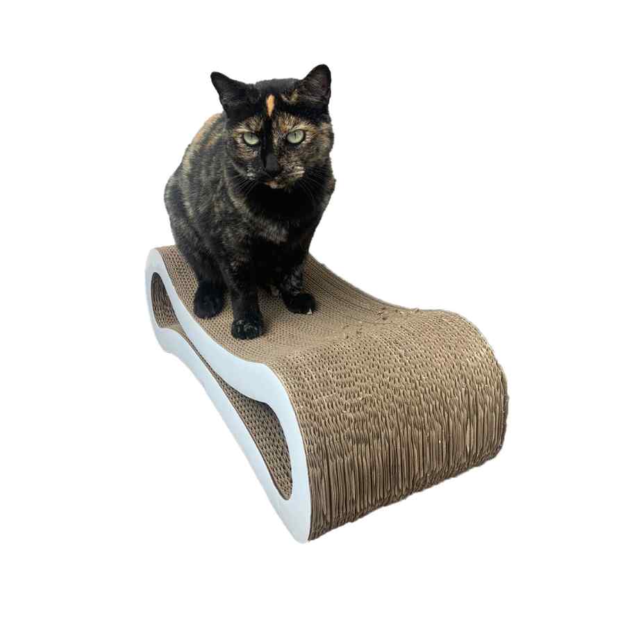 Rascat Rascador Infinito Simple