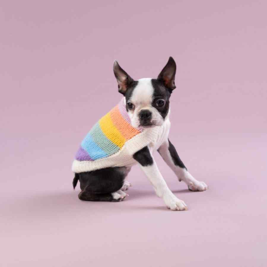 Sweater Para Perro Rainbow
