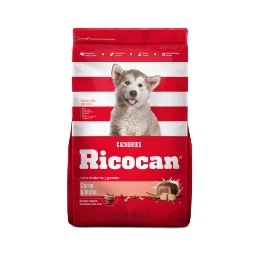 Ricocan
