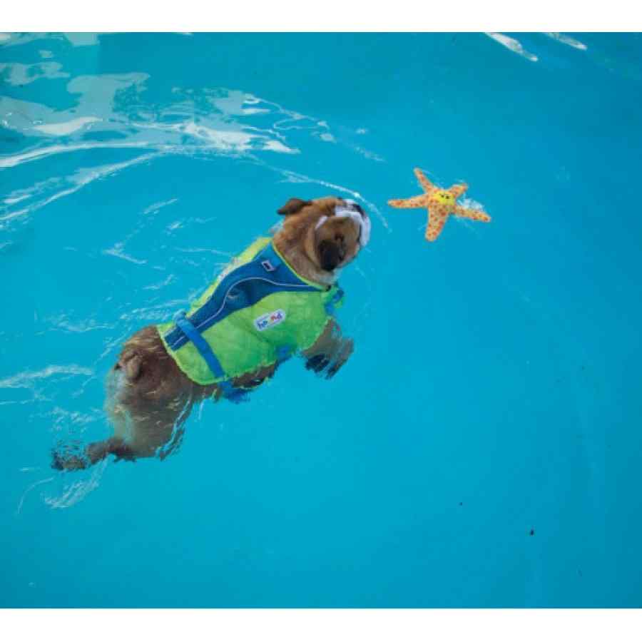 Petstage Floatiez starfish org M